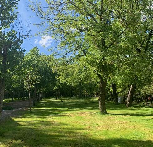 Camping El Puente - Rodellar, Huesca (Spain)